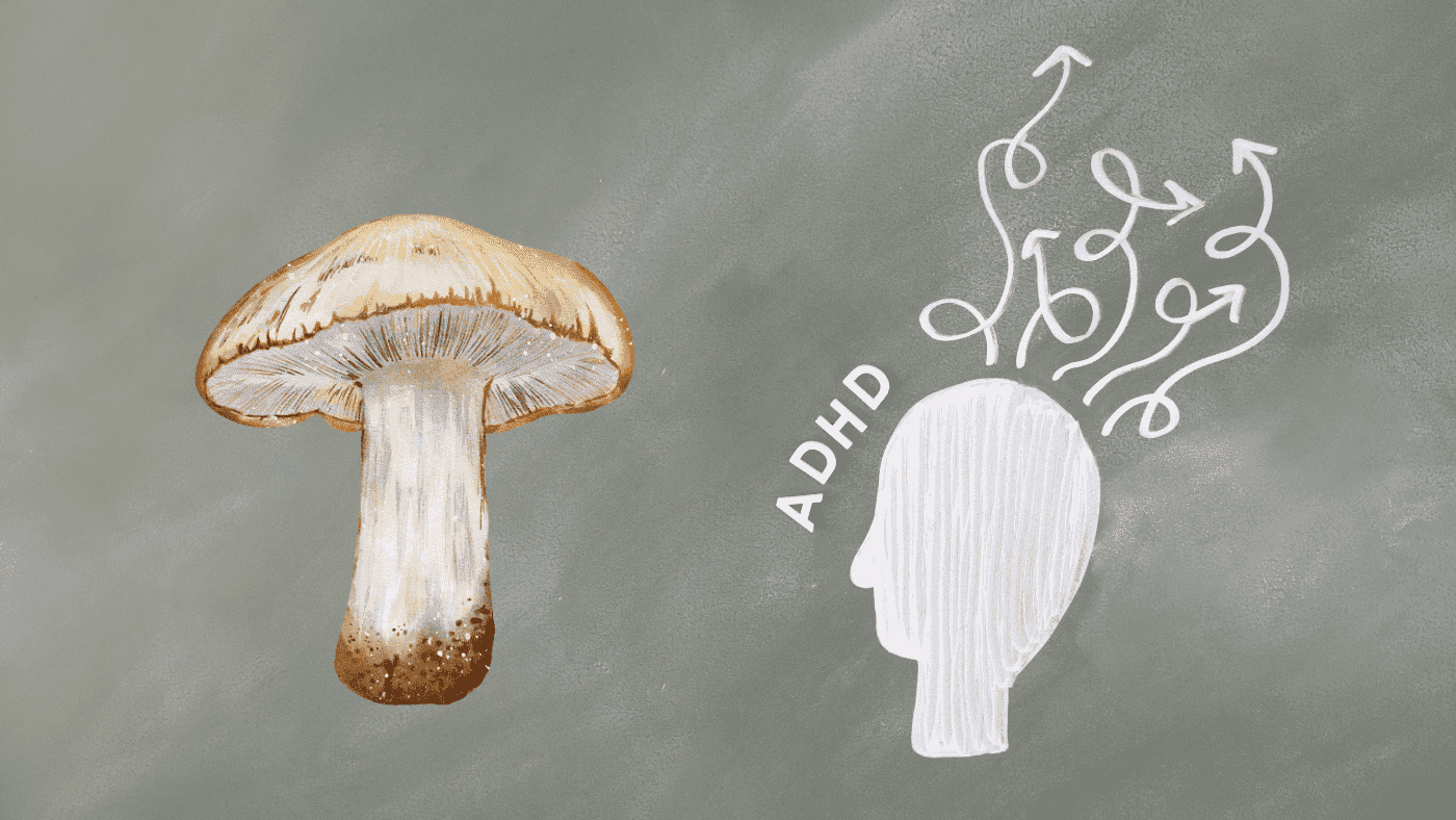 These Are The Best Mushrooms For ADHD – MushiesUK