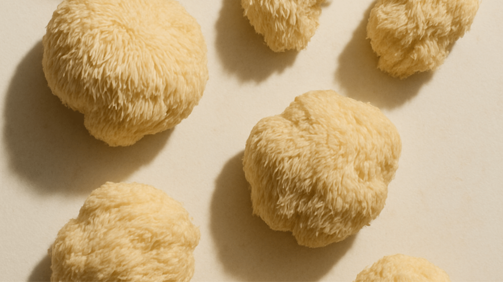 UK-Grown Lion’s Mane Is Here! – MushiesUK